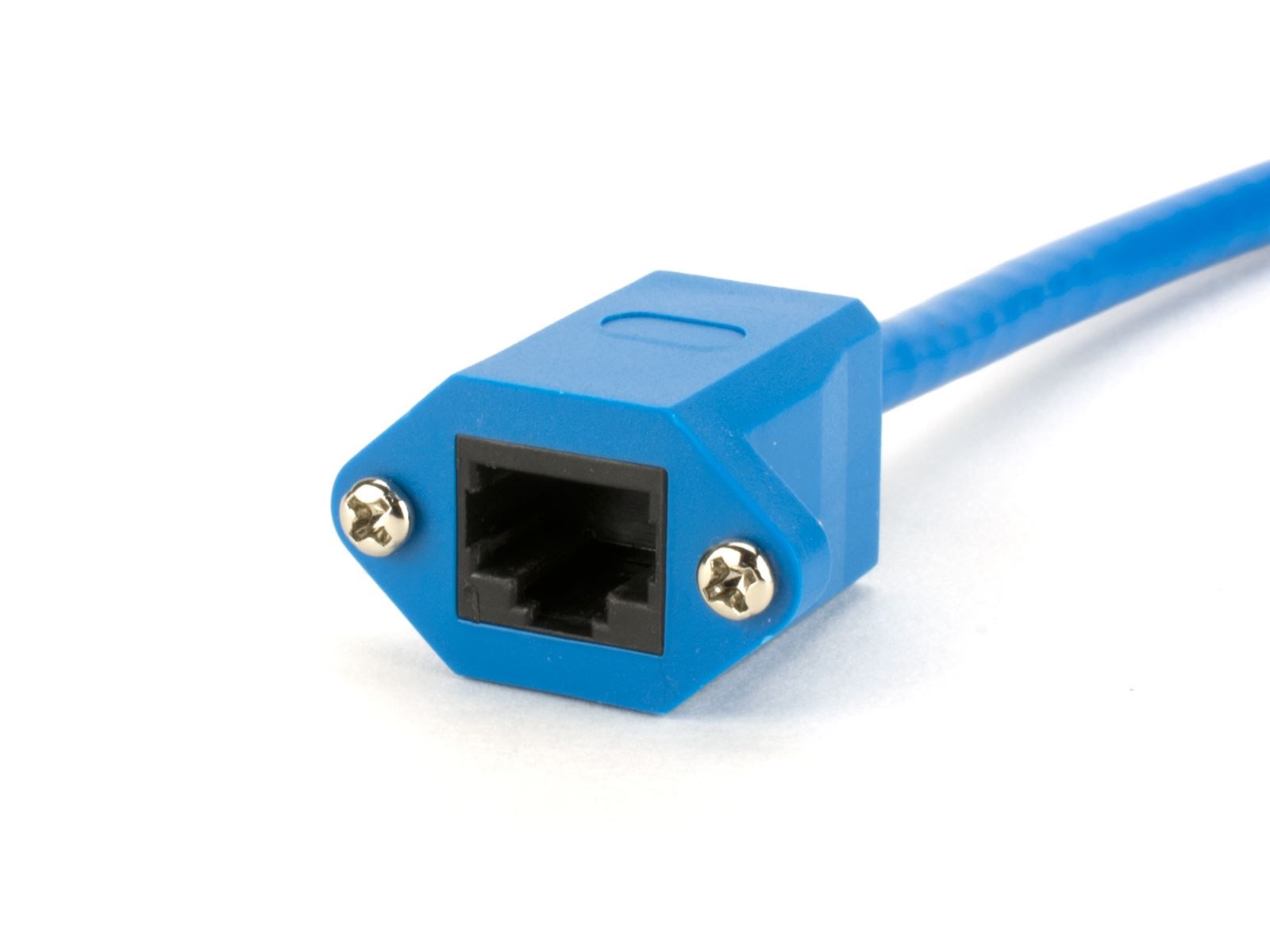 CAT6 Panel Mount Extension Cable - 6 FT, Blue at Cables N More